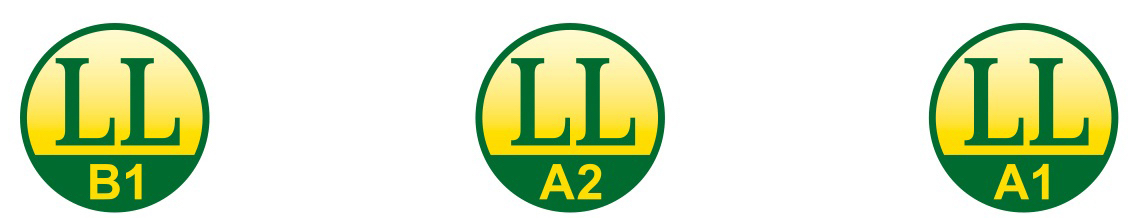 capito automated: Automatic Text Simplification with Artificial Intelligence for German ...